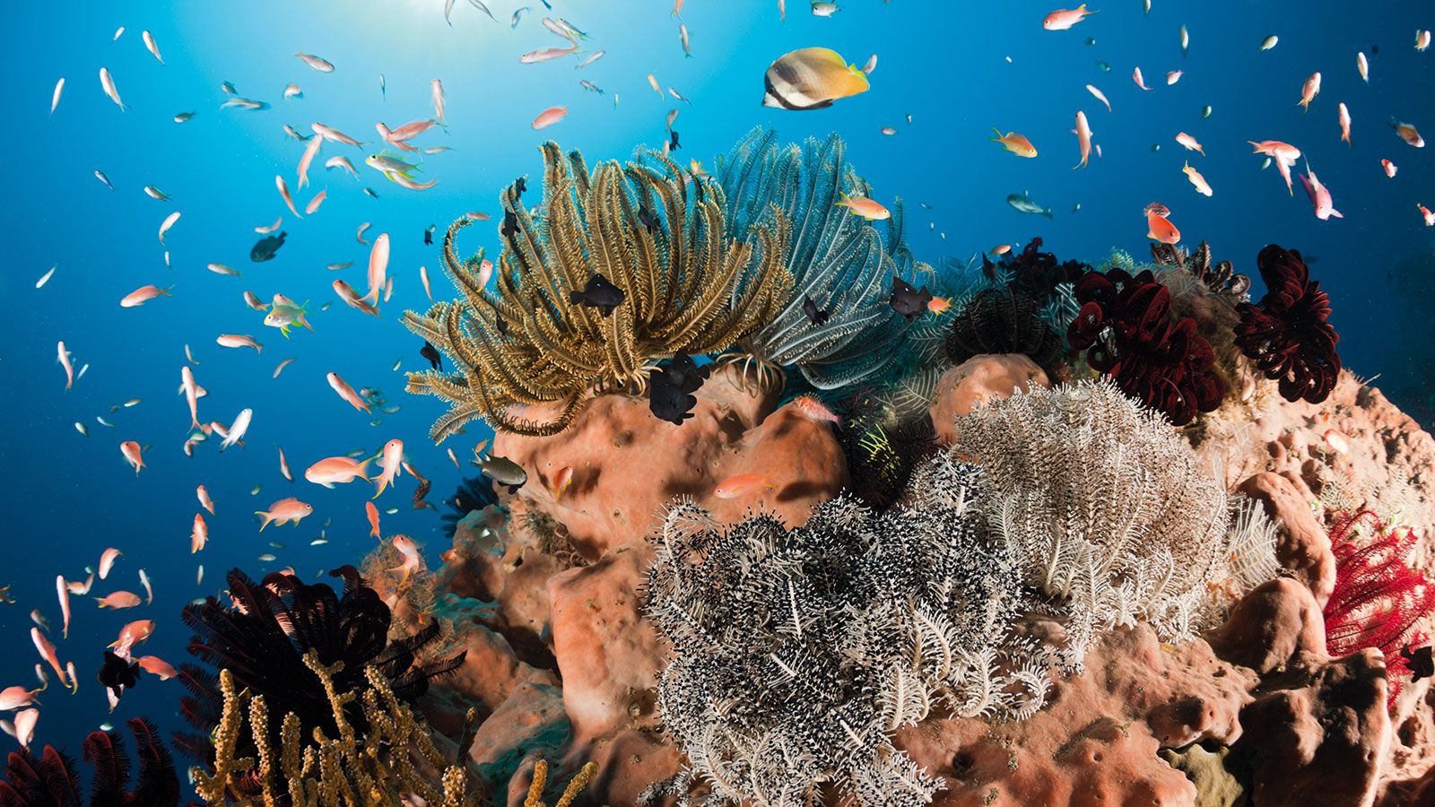 A look back to the 2023 Ocean Award winners